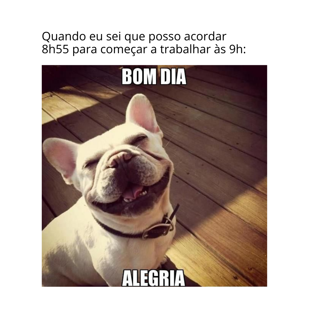 Memes Home Office: 10 imagens para quem gosta de trabalhar em casa