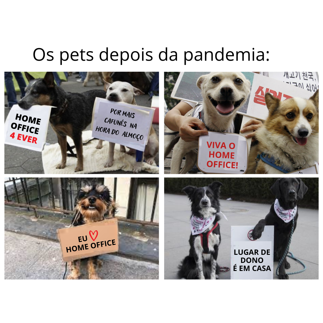 Memes Home Office: 10 imagens para quem gosta de trabalhar em casa