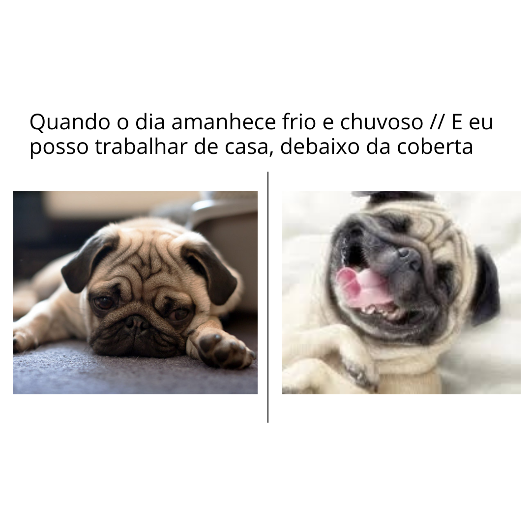Memes Home Office: 10 imagens para quem gosta de trabalhar em casa